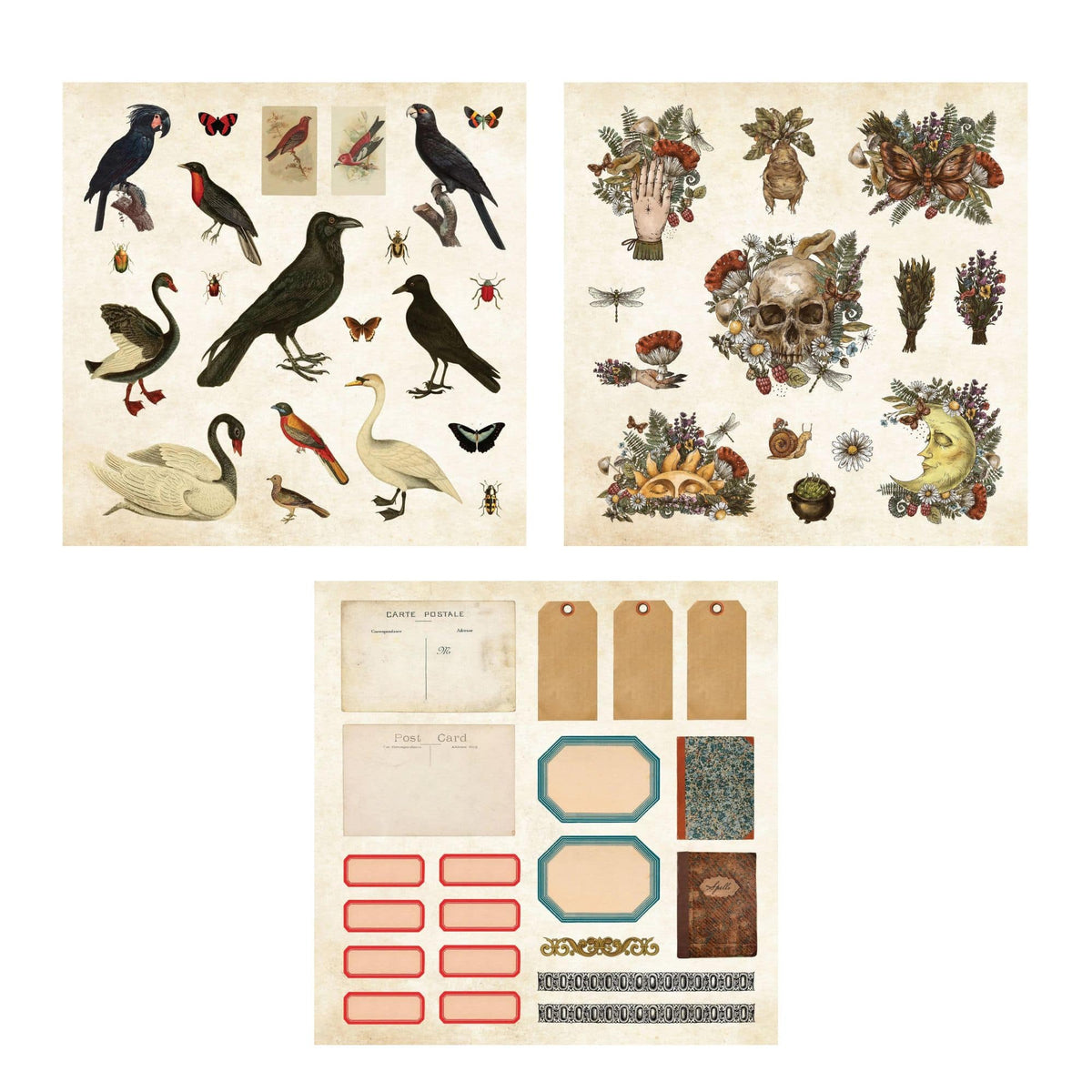 Mystical Ephemera Sticker Book | Paper Kooka Australia